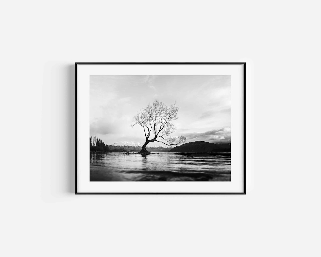 B&W Landscape Photography Print | Fine Art Photography | Tree | Nature ...