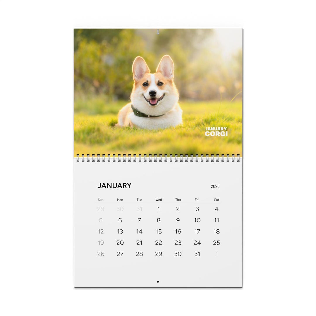 Dog Photos Wall Calendar 2025 Dog Photo Calendar 2025 Dog Calendar Wall ...