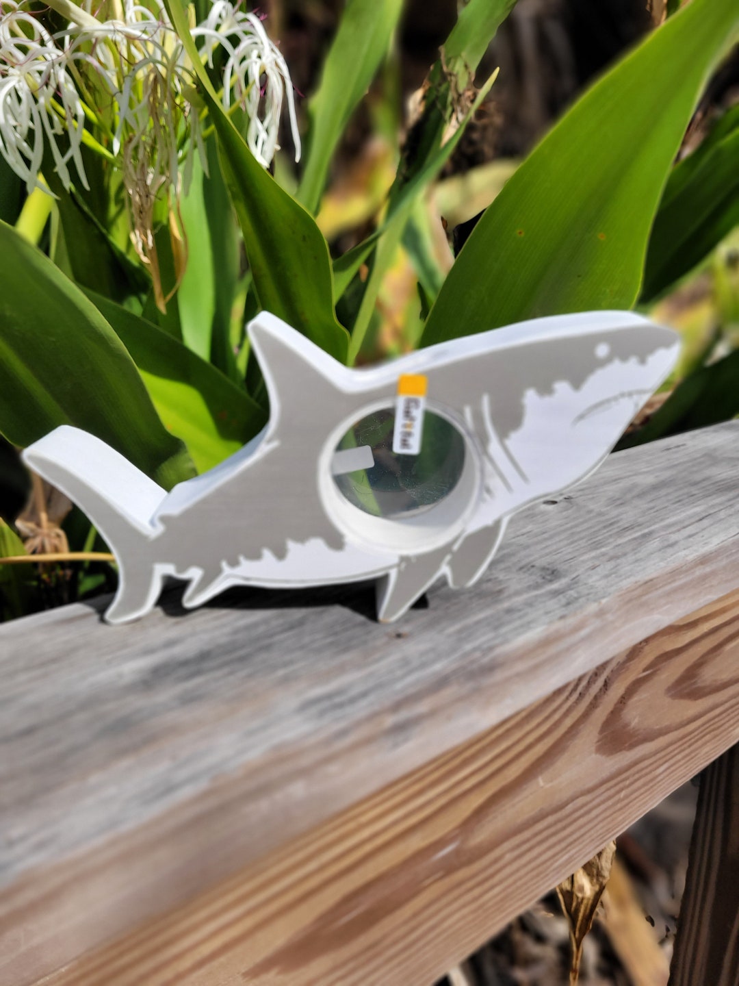 Shark Tooth Bank Great White - Etsy