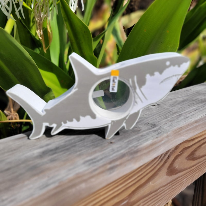 Shark Tooth Display - Etsy
