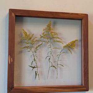 Handmade Solid Wood Floating Frames With Pressed Dried Flowers and ...