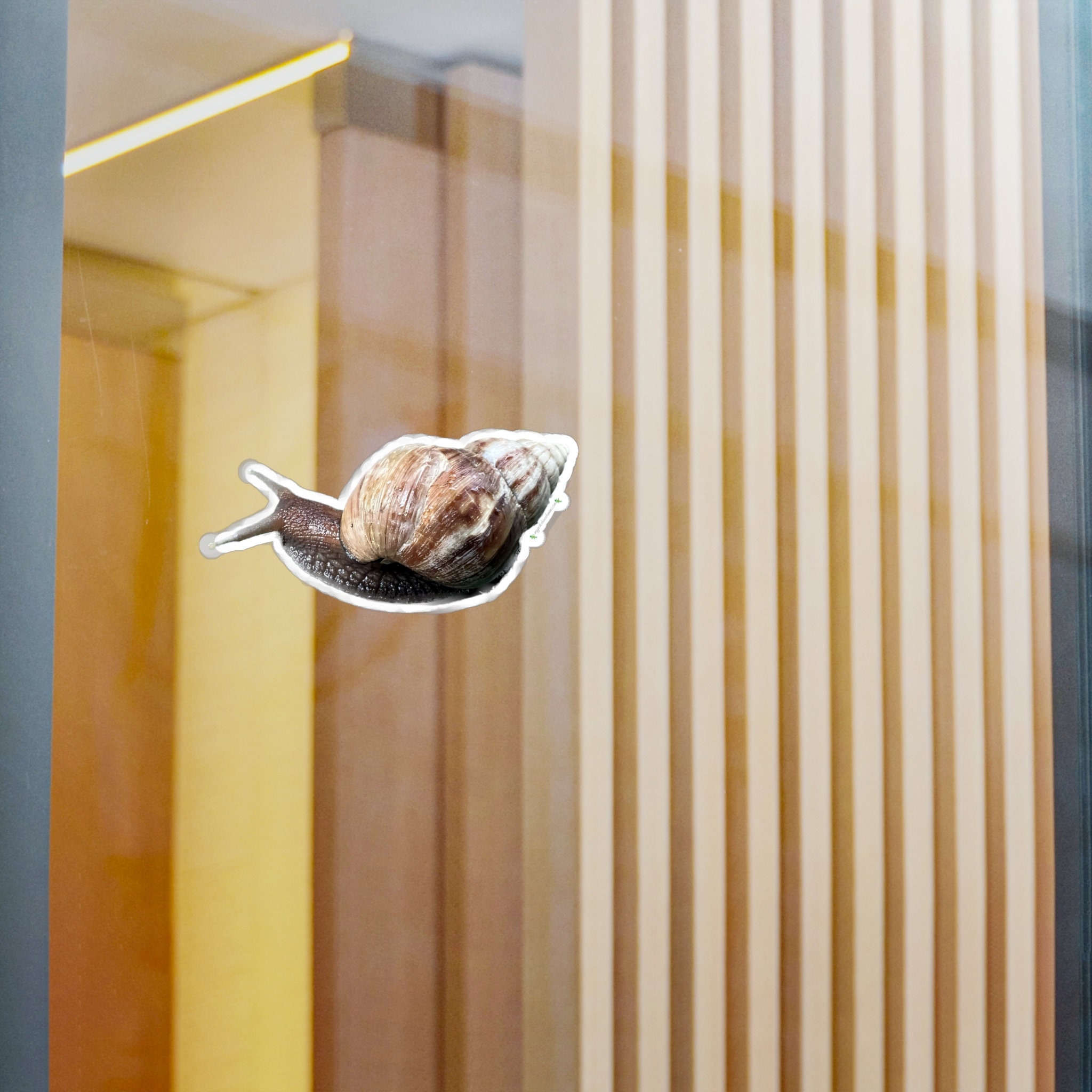 Giant Snail Kiss-cut Vinyl Decals - Etsy