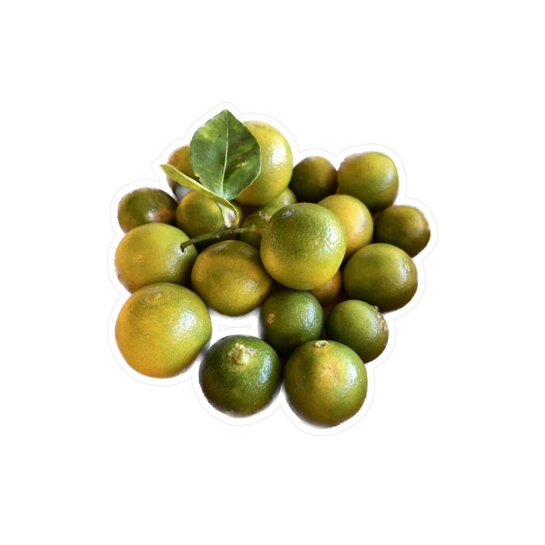 Calamansi Limes Kiss-cut Vinyl Decals - Etsy