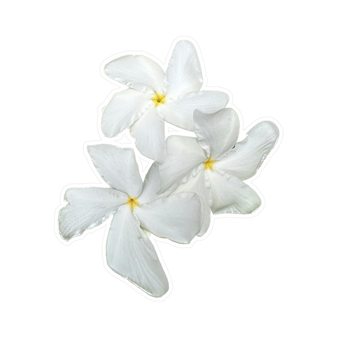 Jasmine Flower Kiss-cut Vinyl Decals - Etsy