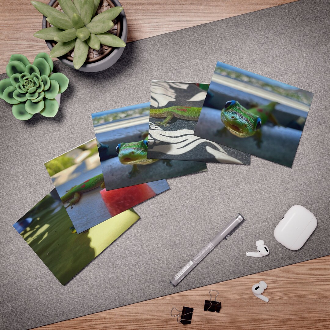 Gecko Multi-design Greeting Cards 5-pack - Etsy