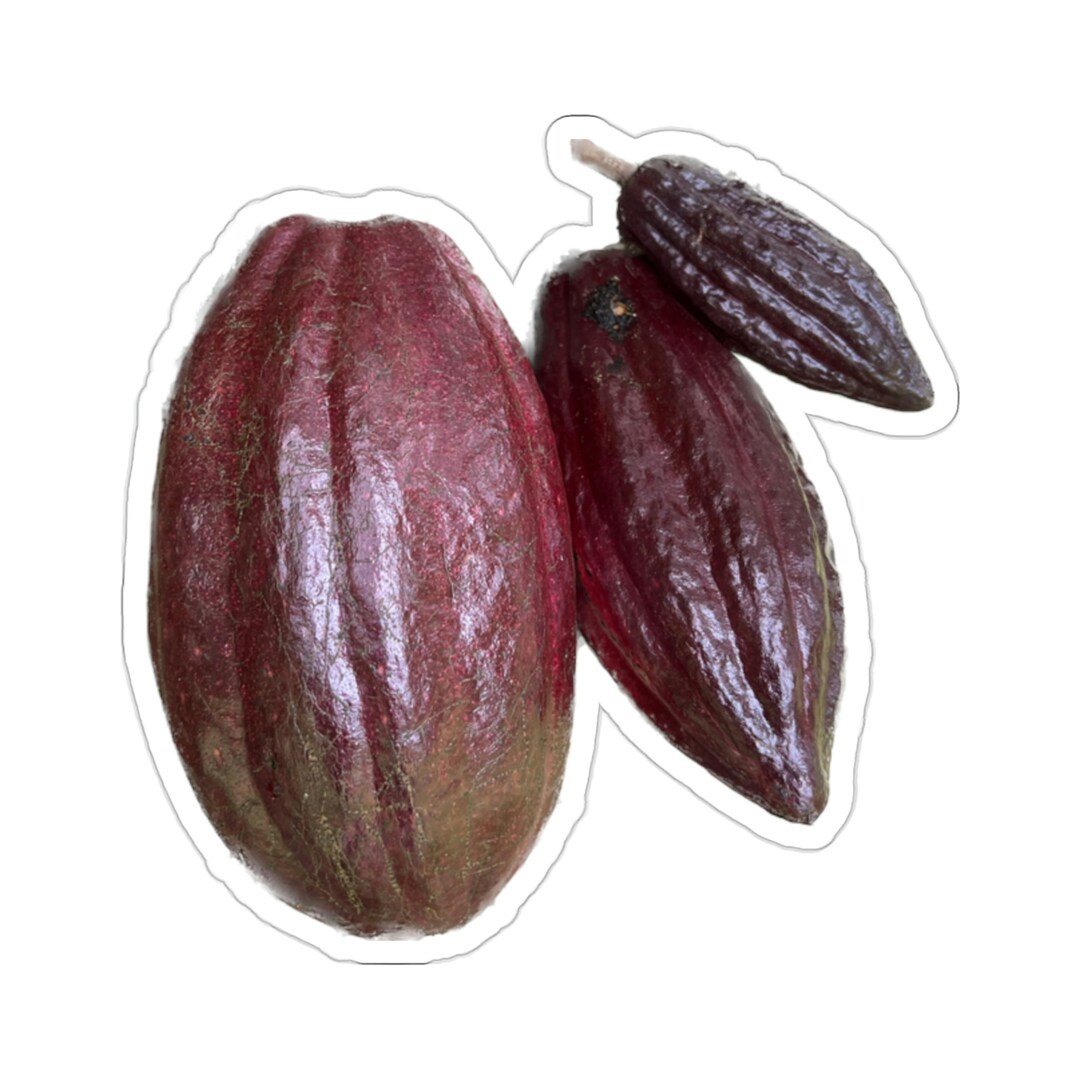 Cacao Pods Vinyl Die-cut Stickers - Etsy
