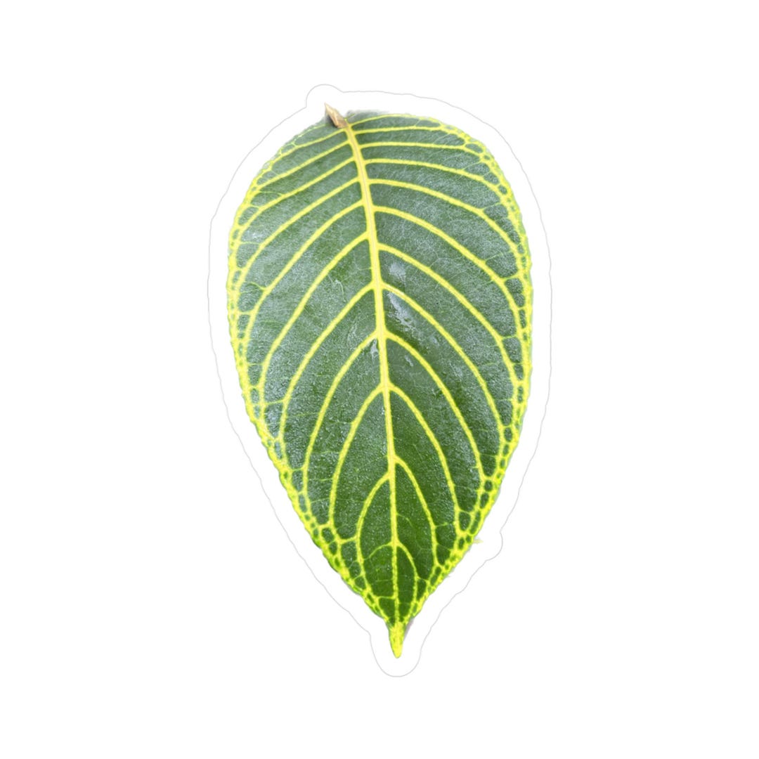Tropical Leaf Kiss-cut Vinyl Decals - Etsy
