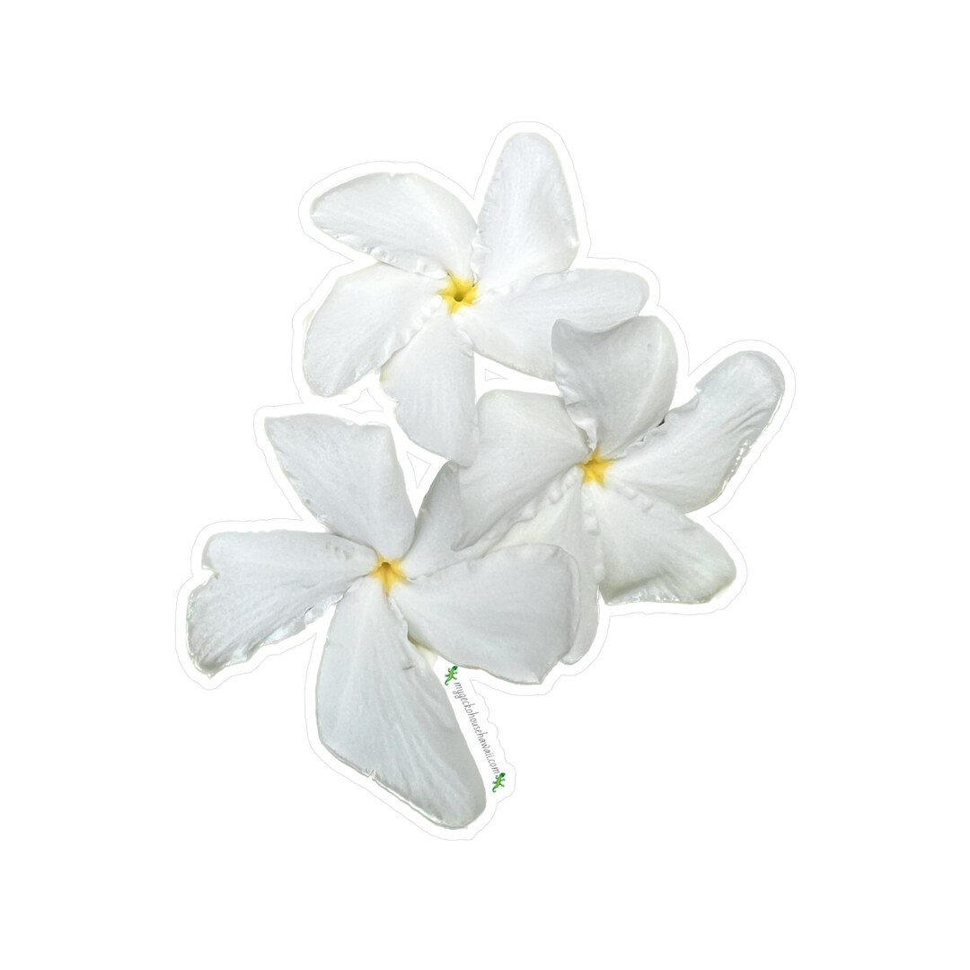 Jasmine Flower Kiss-cut Vinyl Decals - Etsy