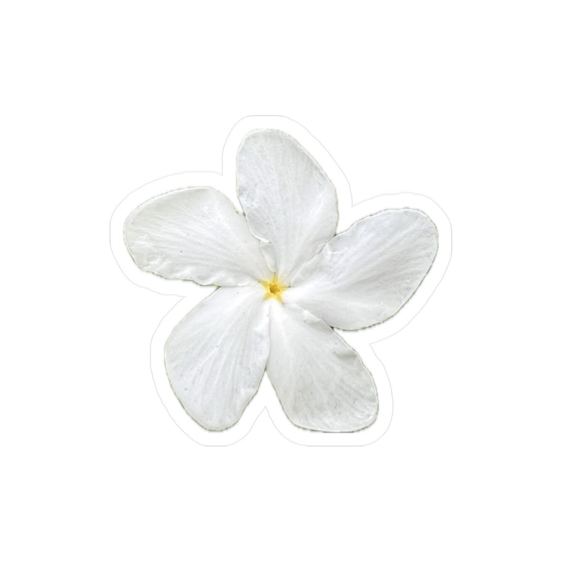 Single Jasmine Flower Kiss-cut Vinyl Decals - Etsy