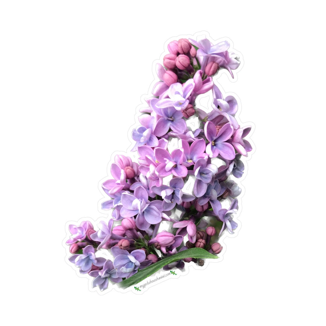 Lilac Kiss-cut Vinyl Decals - Etsy