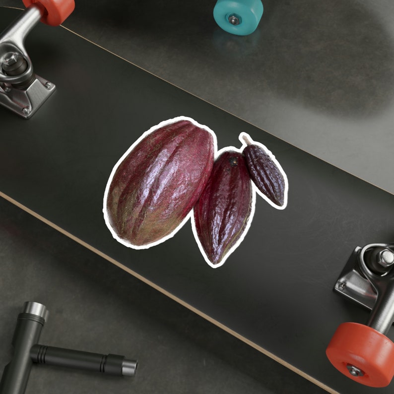 Cacao Pods Vinyl Die-cut Stickers - Etsy