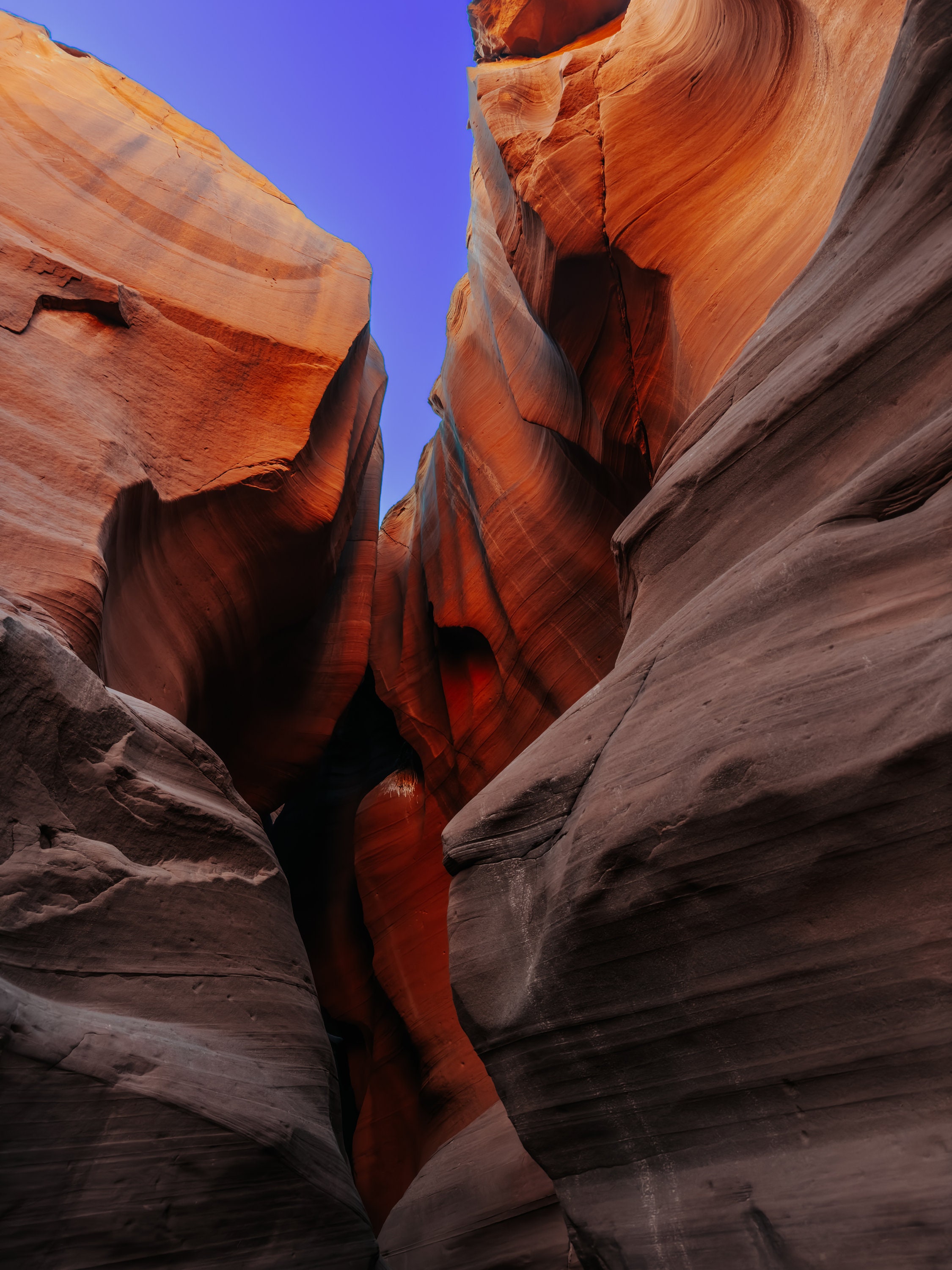 Alien Landscape - Etsy