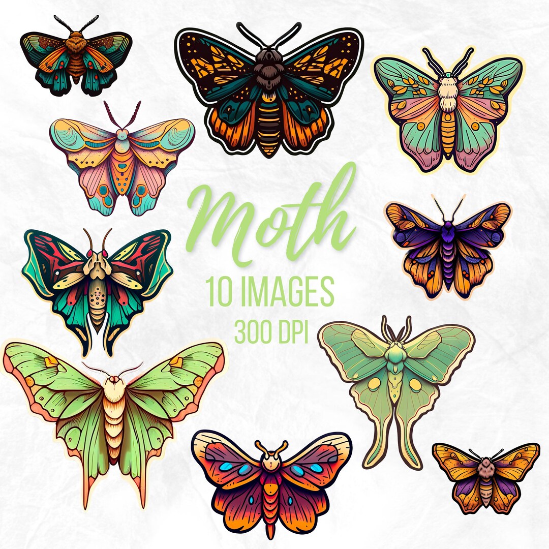 Moth Clipart PNG | Unique Moth PNG | Luna Moth | Instant Download ...
