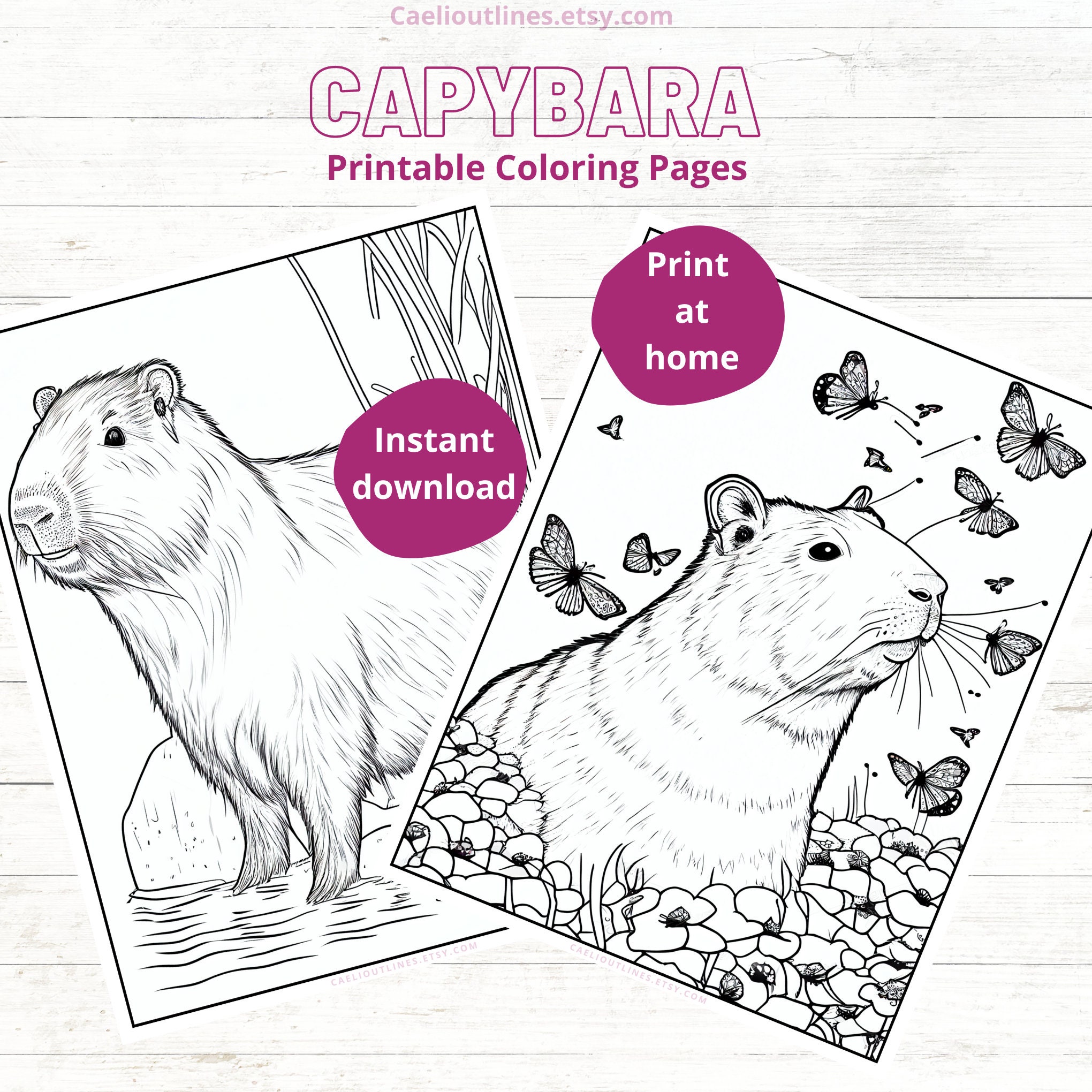 21 Capybara Coloring Pages Printable Sneaker Colouring Pages Coloring ...