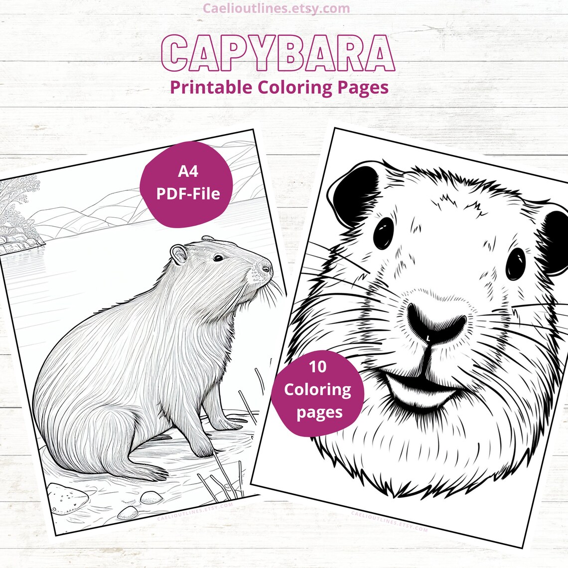 21 Capybara Coloring Pages | Printable | Sneaker Colouring Pages ...