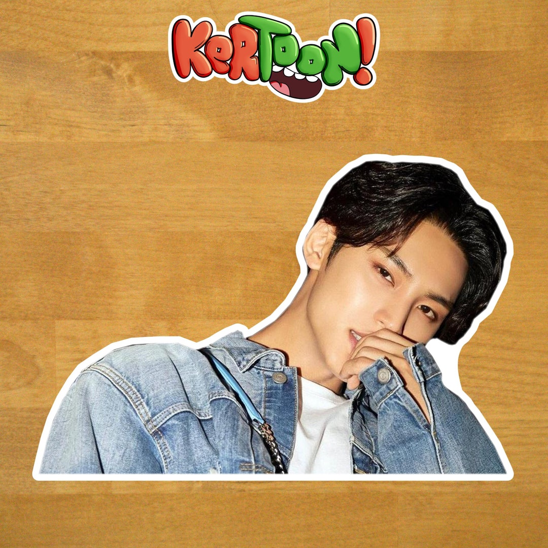 Mingyu Seventeen Photo Picture Kpop Artwork Laminated Vinyl Waterproof Die-cut Sticker Pack ...