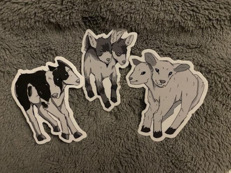Twice as Many Stars Two Headed Farm Animal Sticker 3in calf, Kid, Lamb ...