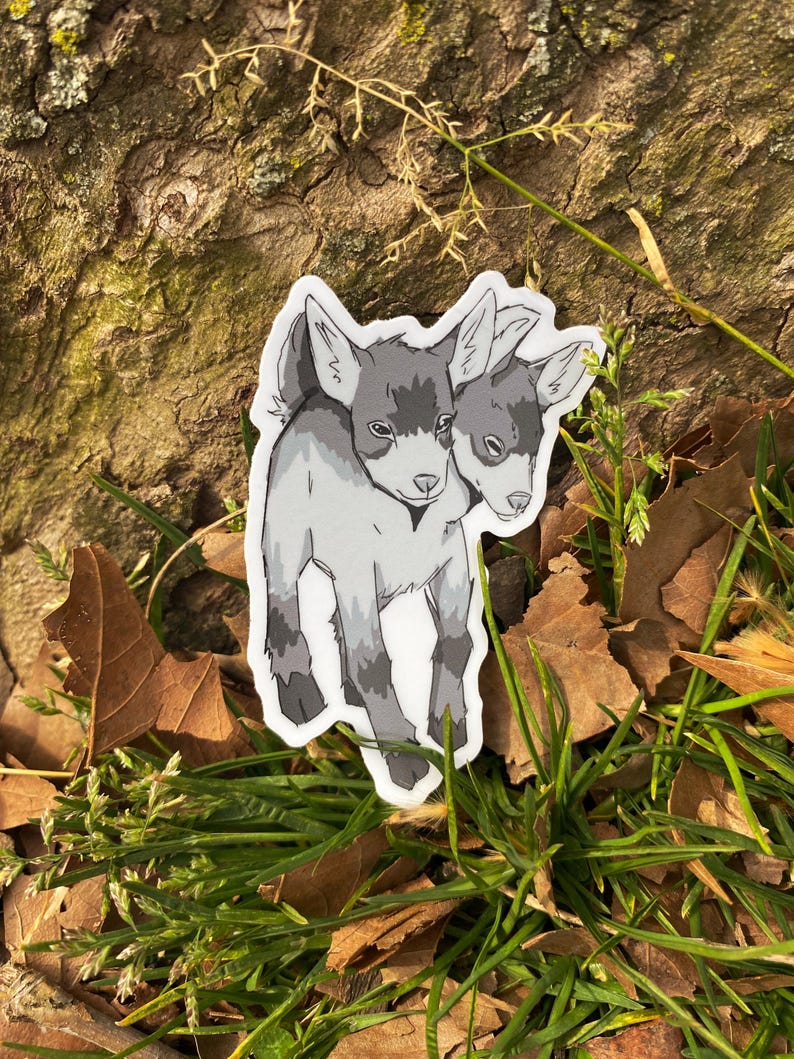 Twice as Many Stars - Two Headed Farm Animal Sticker 3in (calf, Kid ...