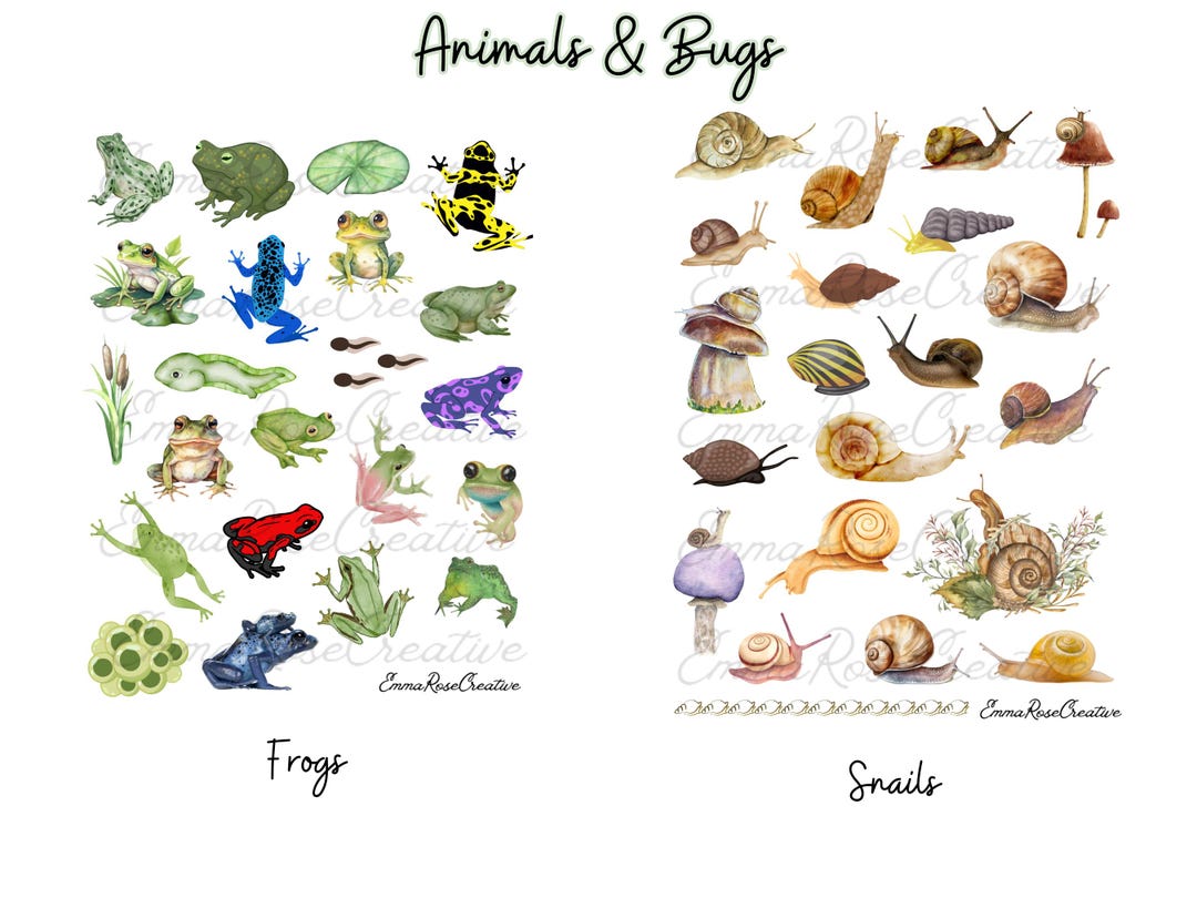 Animals & Bugs, Sheet Stickers: Frogs, Snails, Crawling, Slow, Jump ...