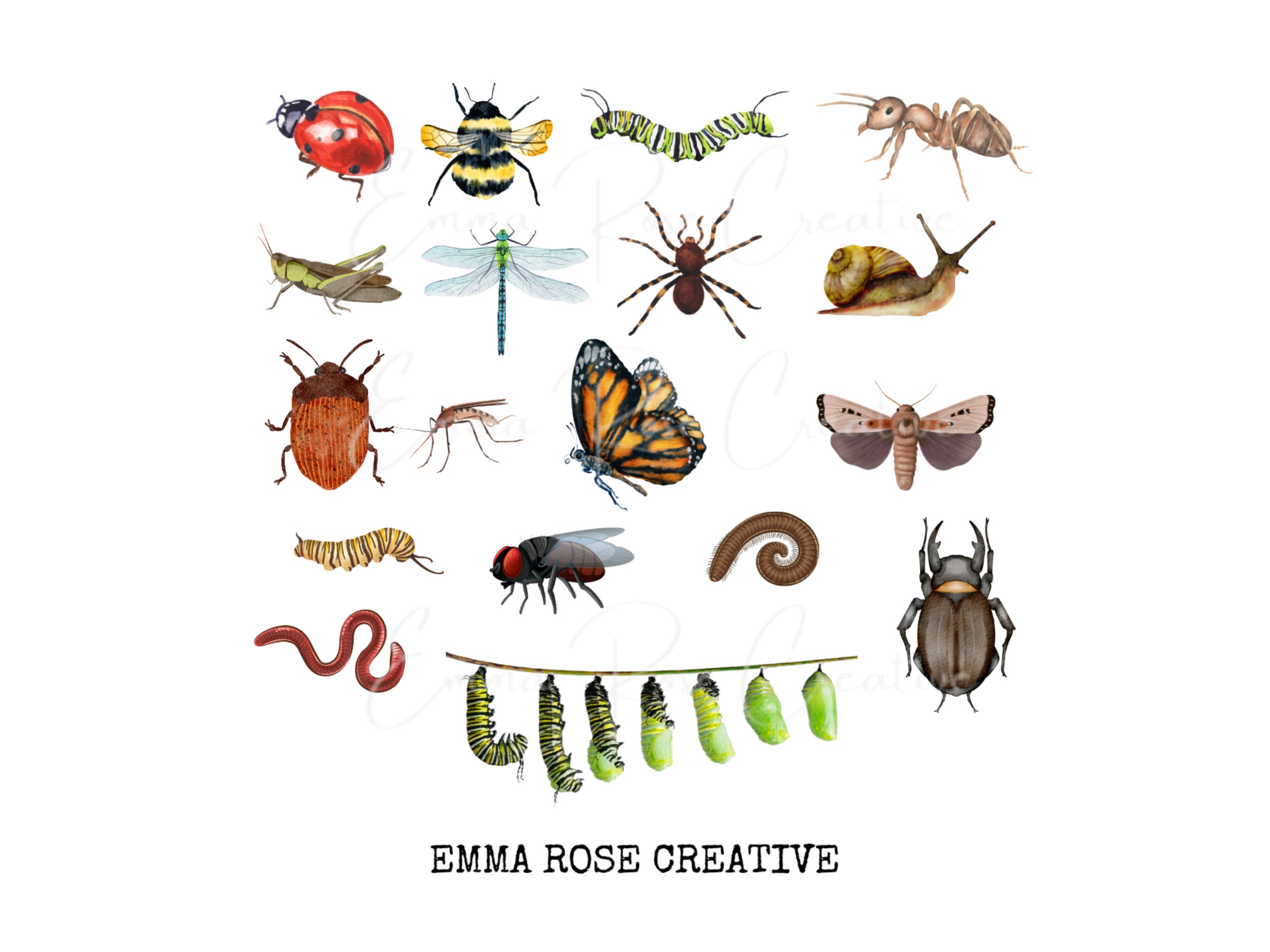 Bugs & Bees Sheet Stickers Insects, Bugs, Bee, Honeybee, Crawling ...