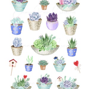 Cactus & Succulent Sheet Stickers - Greenery, Horticulture, Plants ...