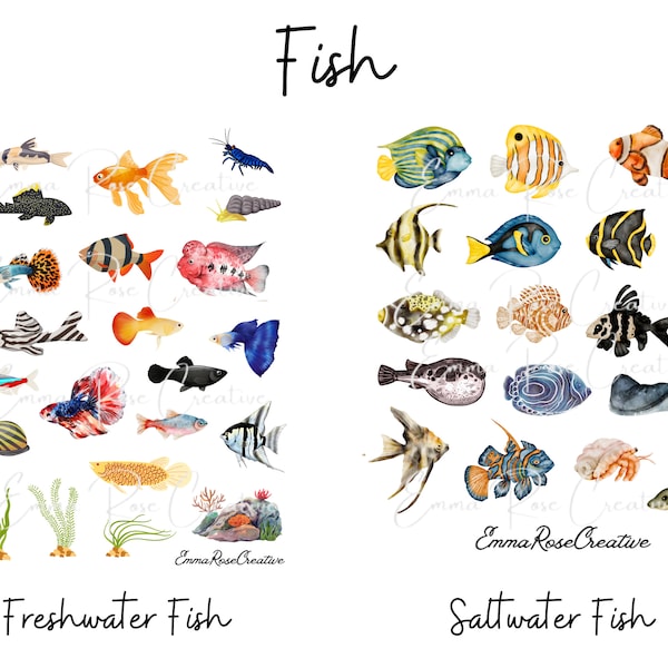Saltwater Fish Stickers - Etsy