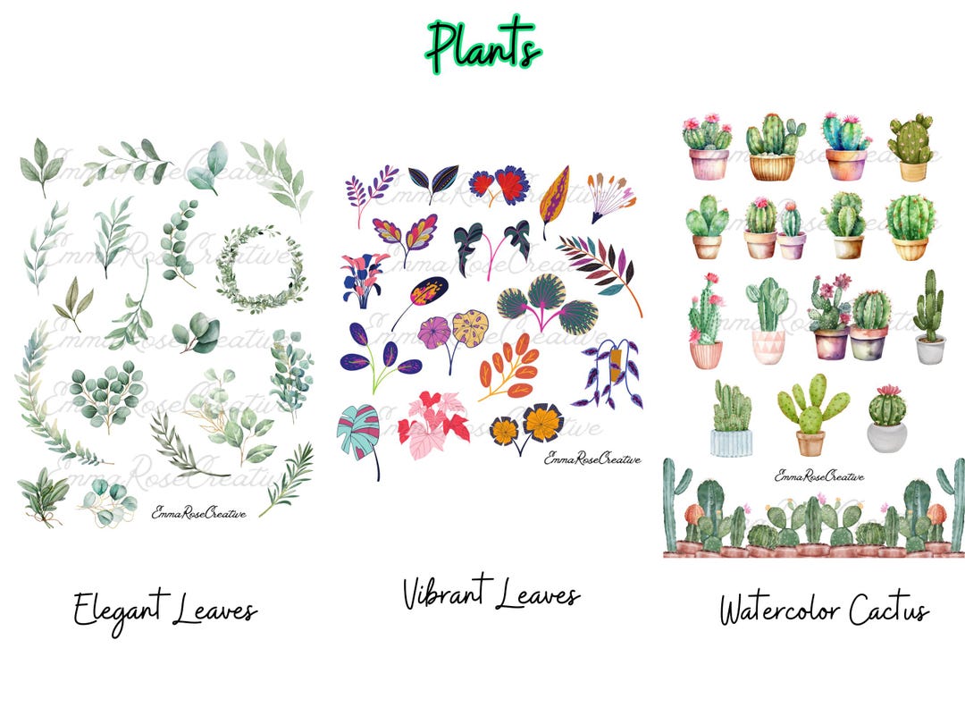 Plants, Sheet Stickers - Thorns, Spikes, Succulent, Greenery, Elegant ...