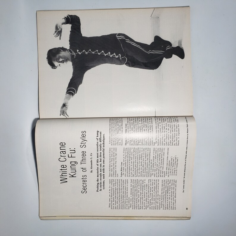 Inside Kung-fu October 1983. White Crane, Chang Tai Chi, Al Damascus ...