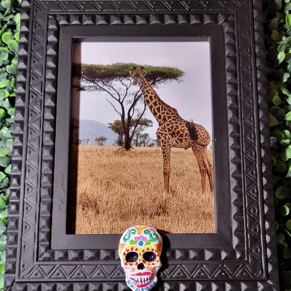 Day of the Dead Picture Frame - Etsy