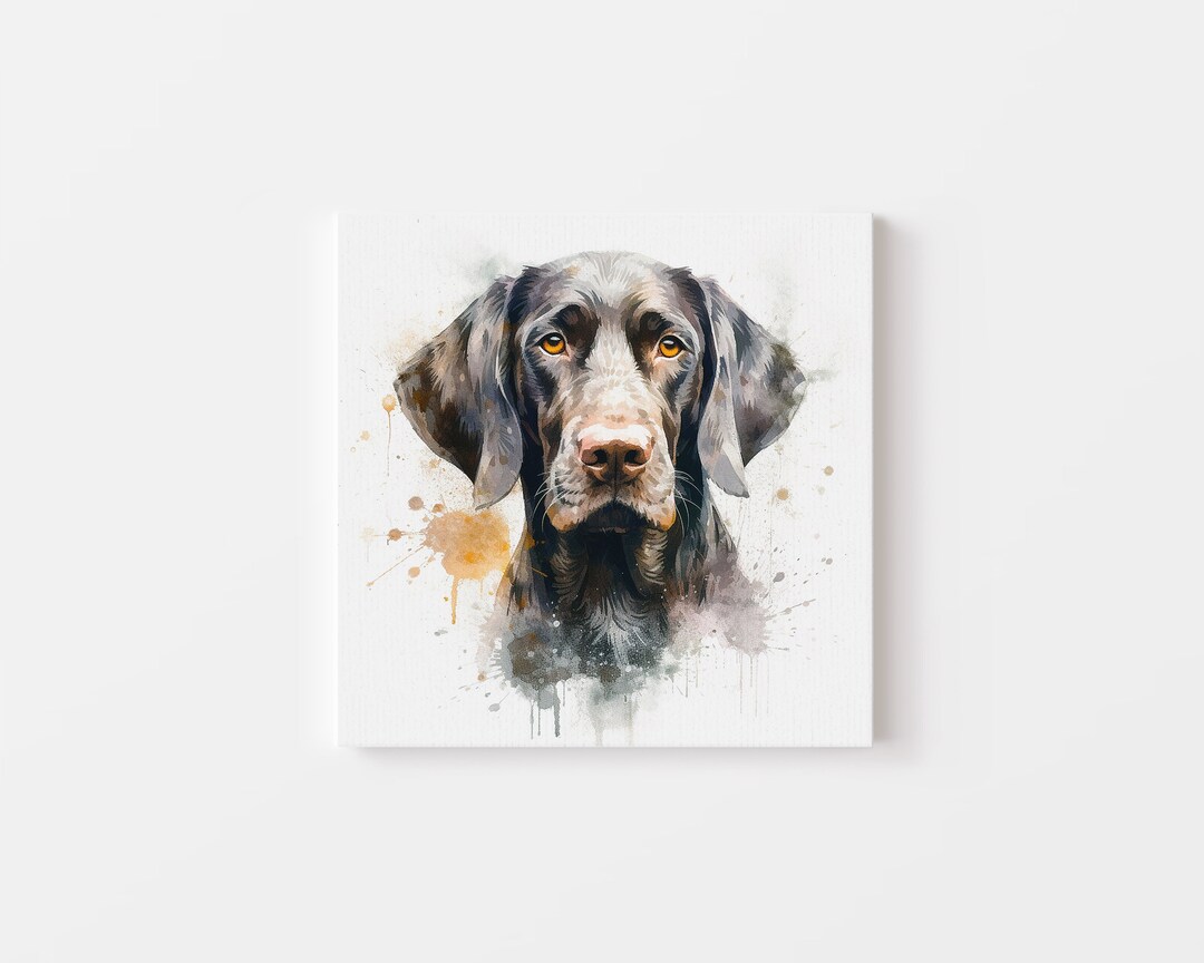 German Shorthaired Pointer, Watercolour Art, Shorthaired Pointer Art ...