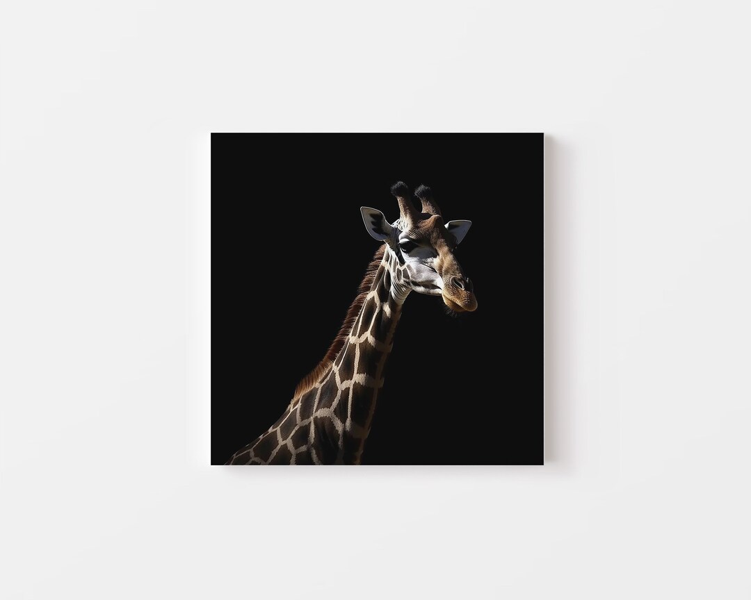 Giraffe Art, Giraffe Print, Giraffes, Giraffe Prints, Giraffe Wall Art ...