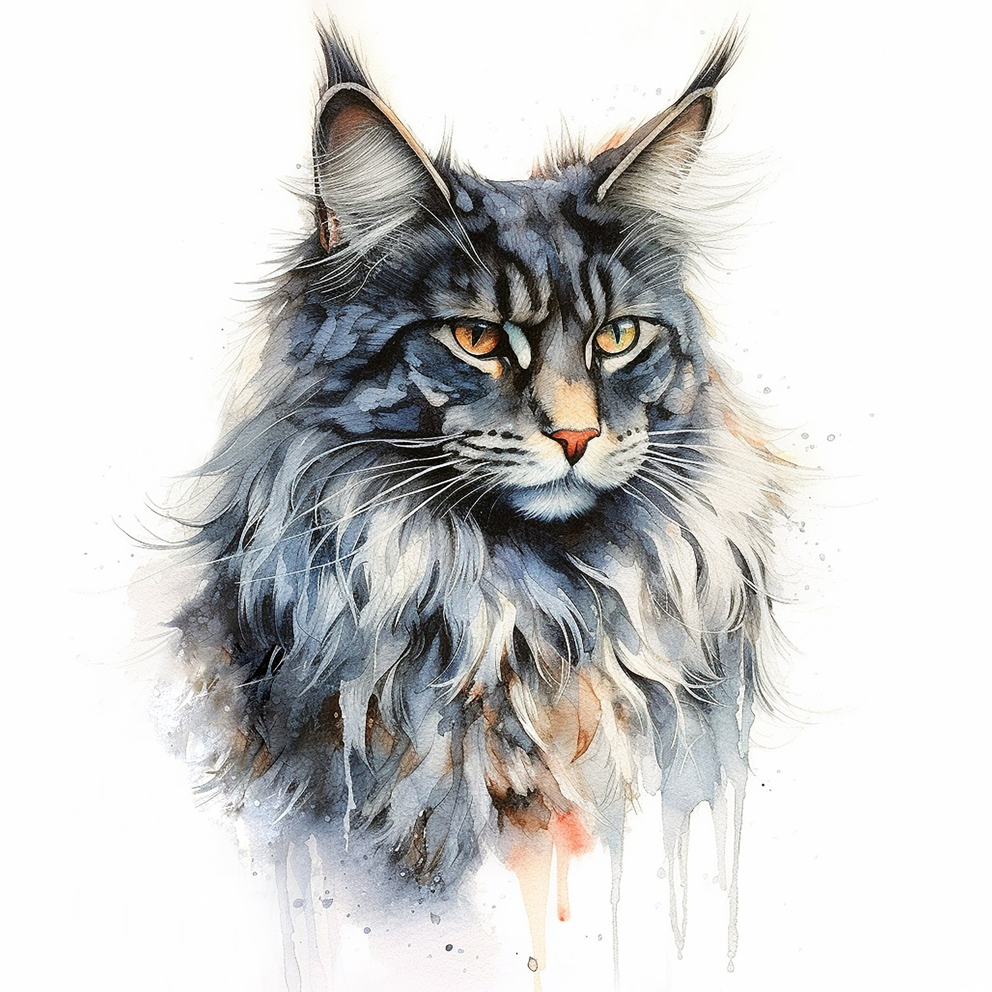 Maine Coon Cat, Maine Coon Watercolour, Maine Coon Art, Maine Coon ...