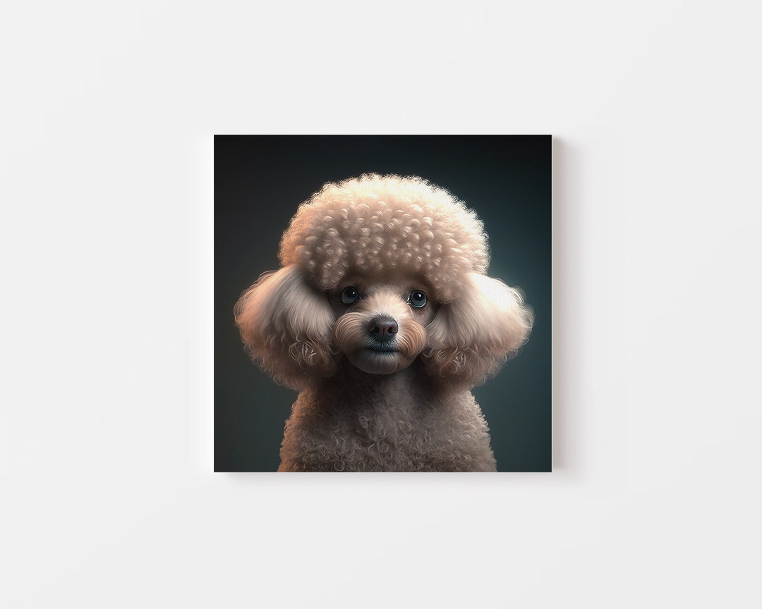 Poodle Puppy Art, Poodle Art, Poodle Prints, Cute Poodles, Poodle Wall ...