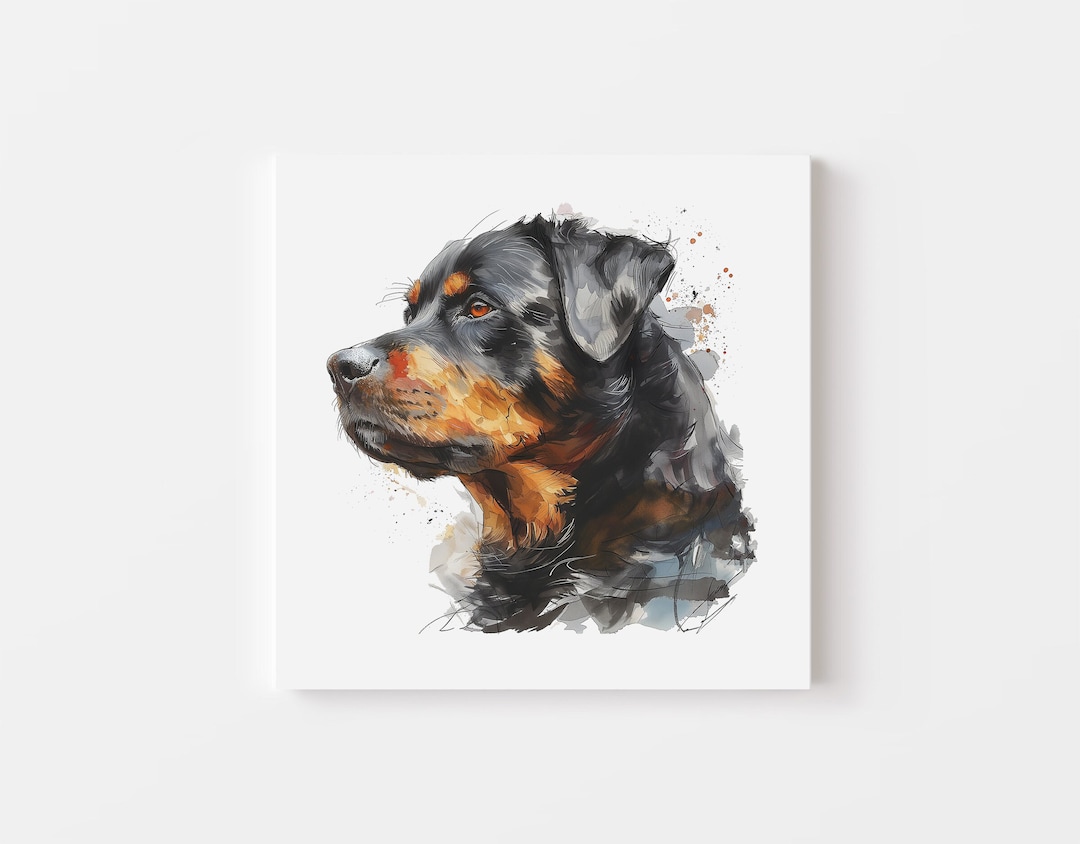 Rottweiler Watercolour, Art Bundle, 5 Images, Rottweiler Portrait ...