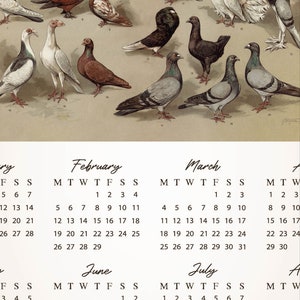 Year-at-a-glance Pigeon Art 2024 Wall Calendar. Vintage Desk Calendar ...