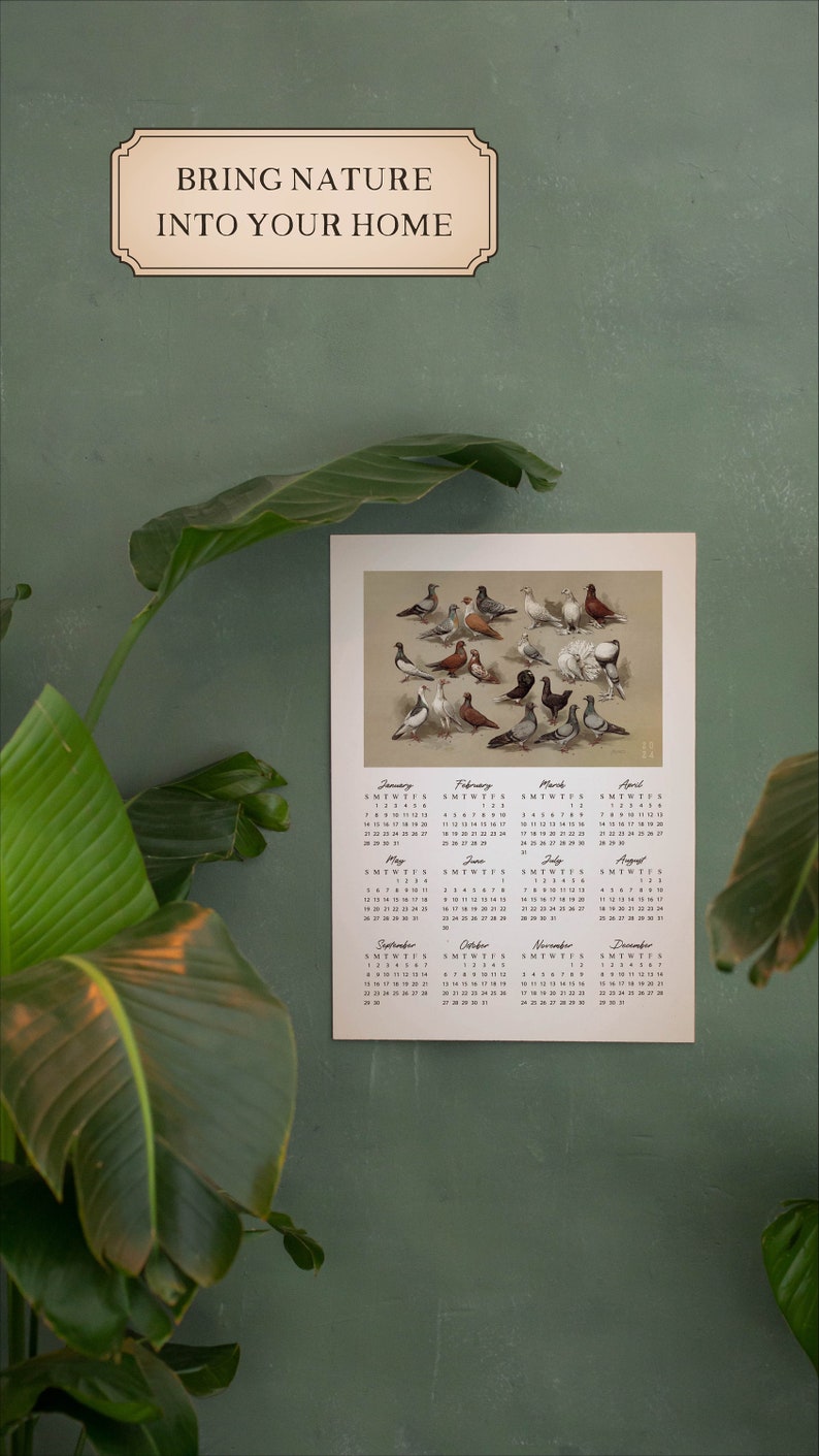 Year-at-a-glance Pigeon Art 2024 Wall Calendar. Vintage Desk Calendar ...