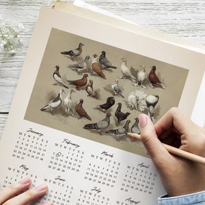 Year-at-a-glance Pigeon Art 2024 Wall Calendar. Vintage Desk Calendar ...