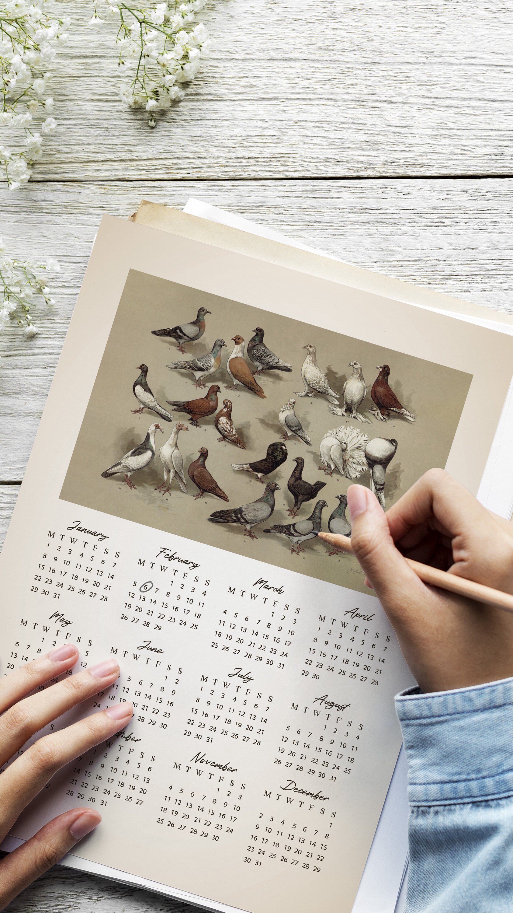 Year-at-a-glance Pigeon Art 2024 Wall Calendar. Vintage Desk Calendar ...