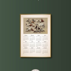 Year-at-a-glance Pigeon Art 2024 Wall Calendar. Vintage Desk Calendar ...