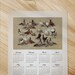 Year-at-a-glance Pigeon Art 2024 Wall Calendar. Vintage Desk Calendar ...