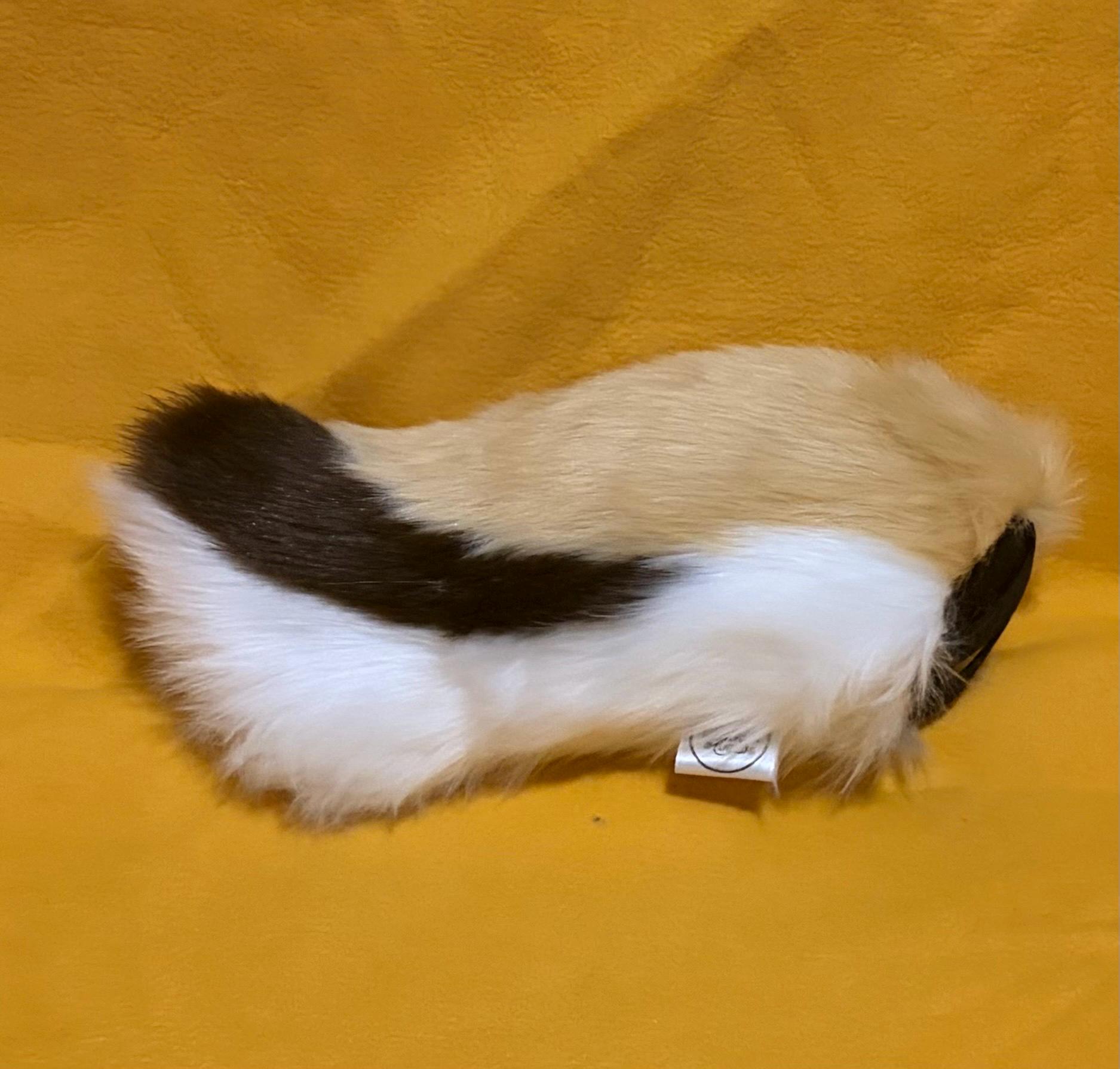 Blond Corgi Dog Fursuit Mini Partial: Head and Tail - Etsy