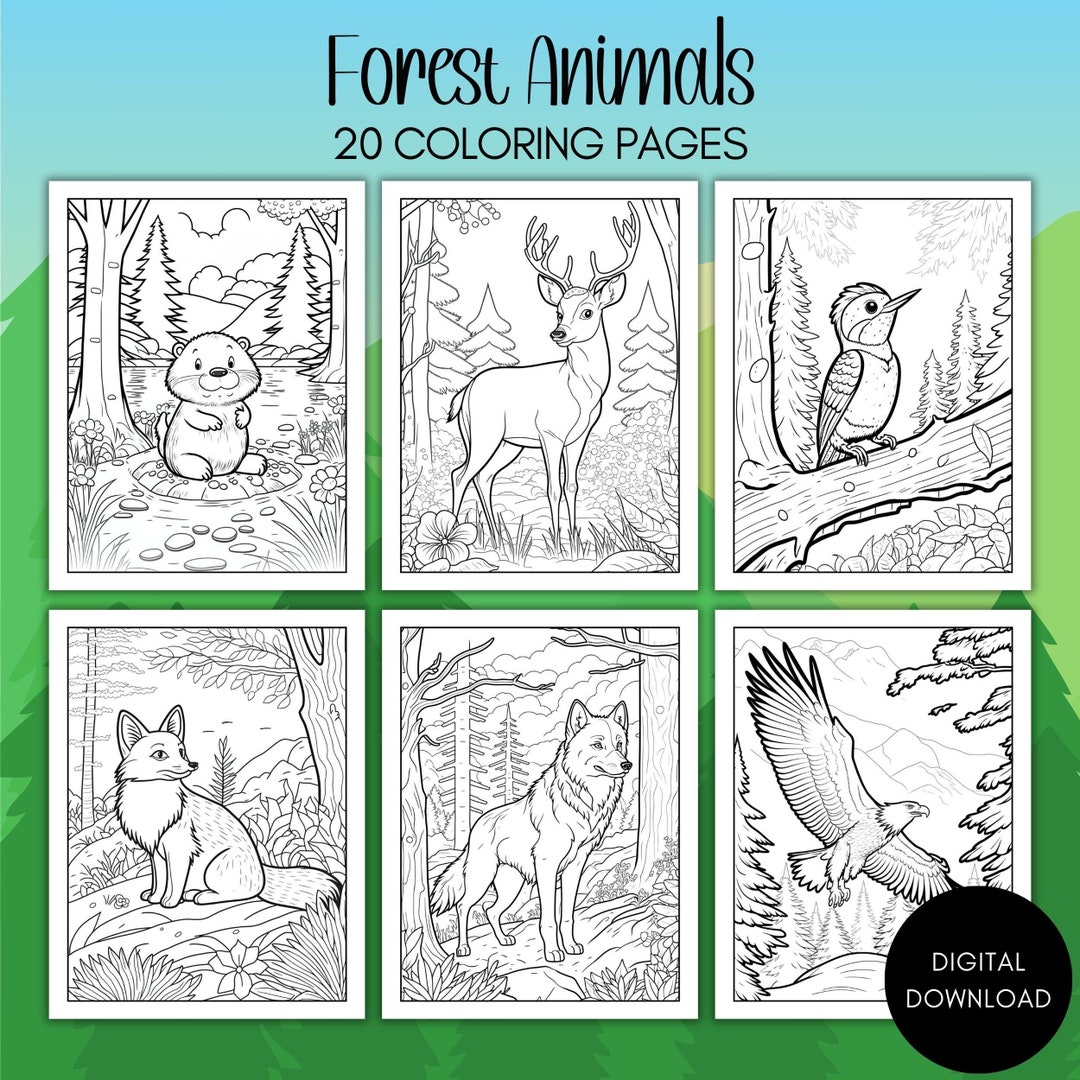 Animal Coloring Pages for Kids Coloring Printable Forest Coloring Book ...