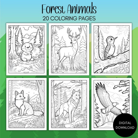 Disegni Da Colorare Per Bambini Natura