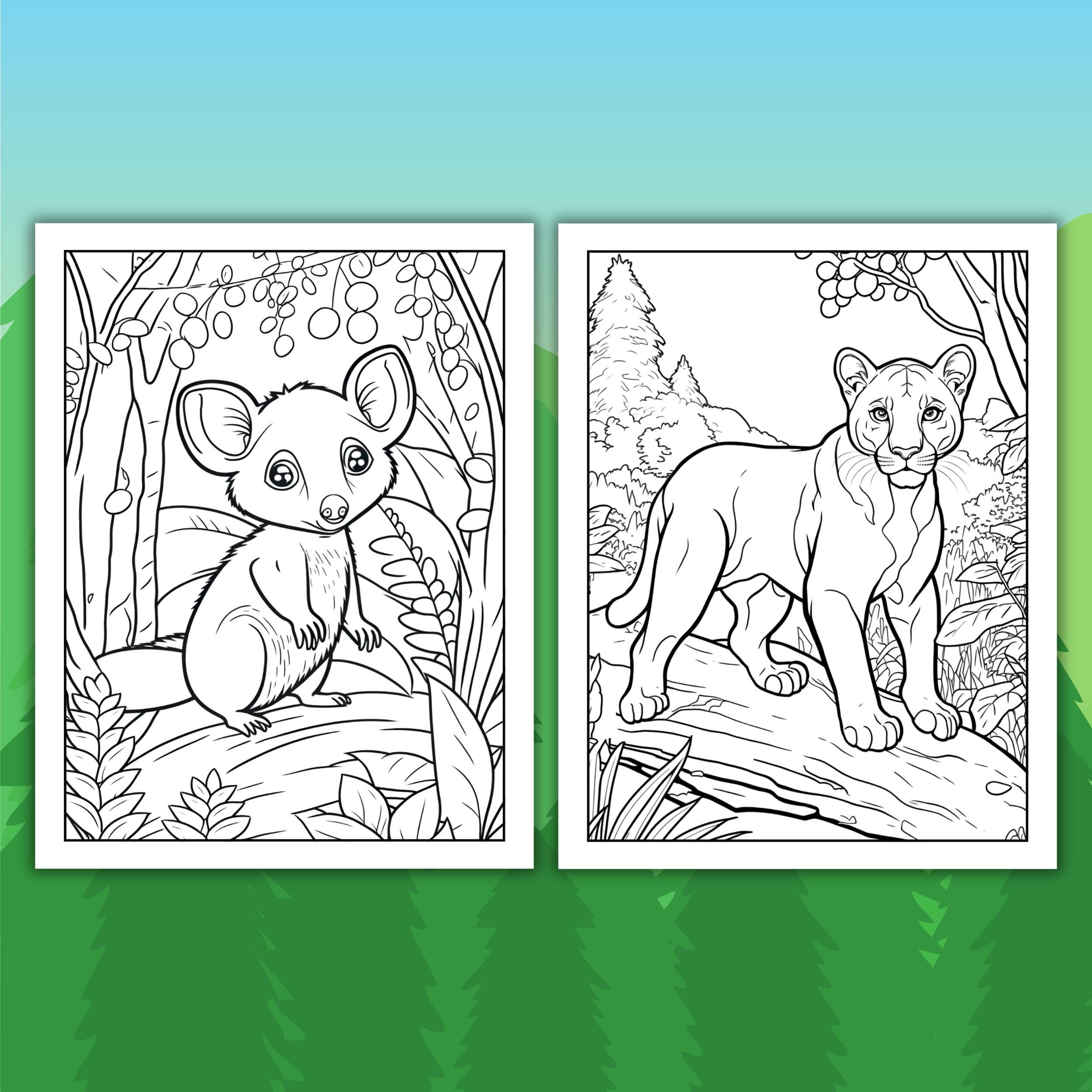 Animal Coloring Pages for Kids Coloring Printable Forest - Etsy UK