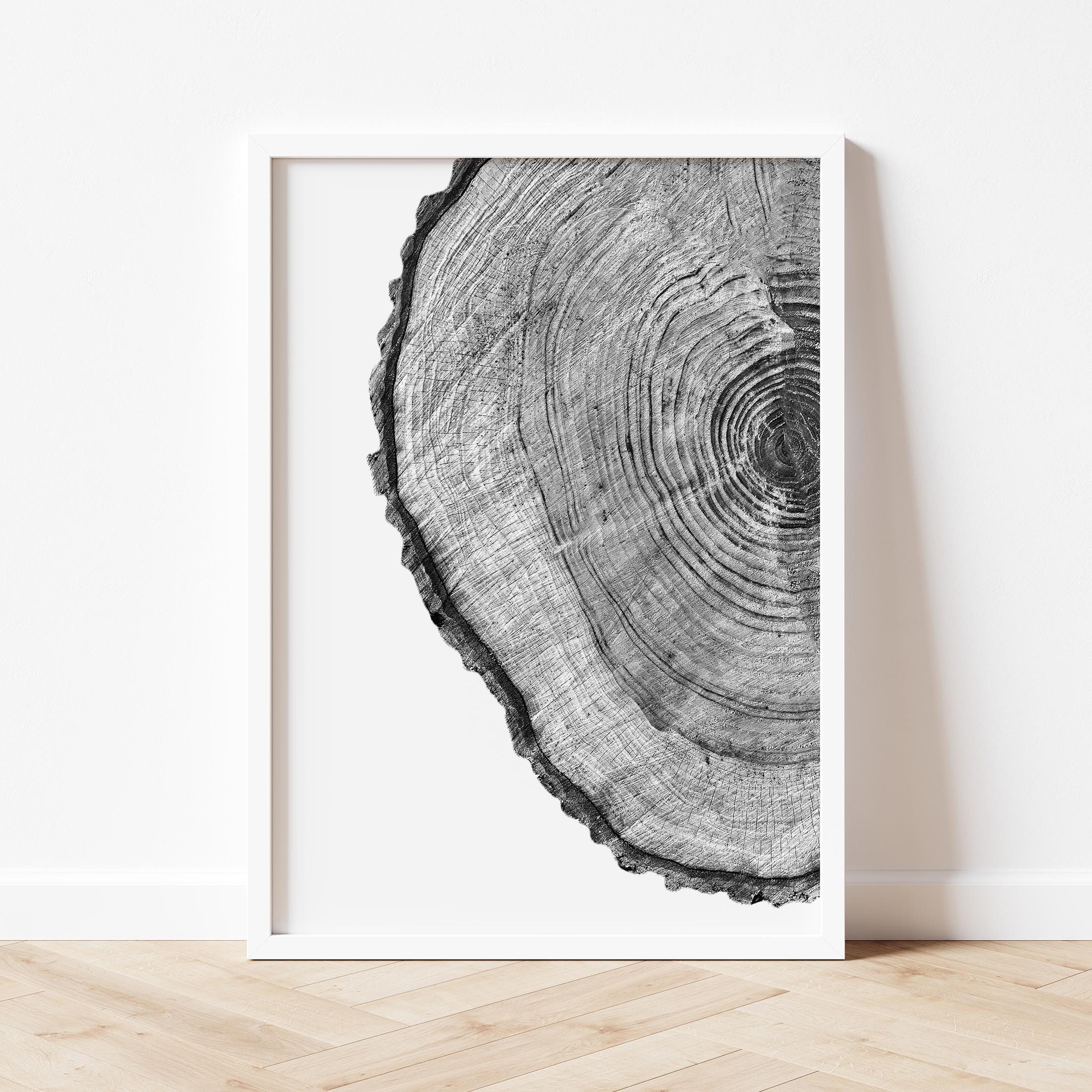 Tree Rings Print Printable Art Tree Stump Black and White Print Set of 2 Prints Print Tree Print ...
