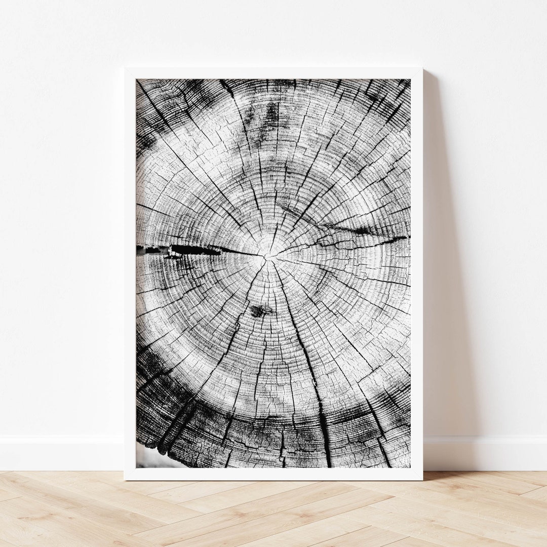 Prints Tree Rings Black and White Wall Art Wood Prints Minimalist Wall ...