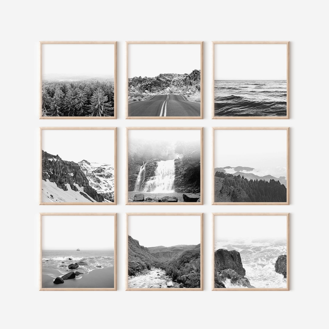 Set of 9 Wall Art Black and White Prints Nature Prints Square Prints ...