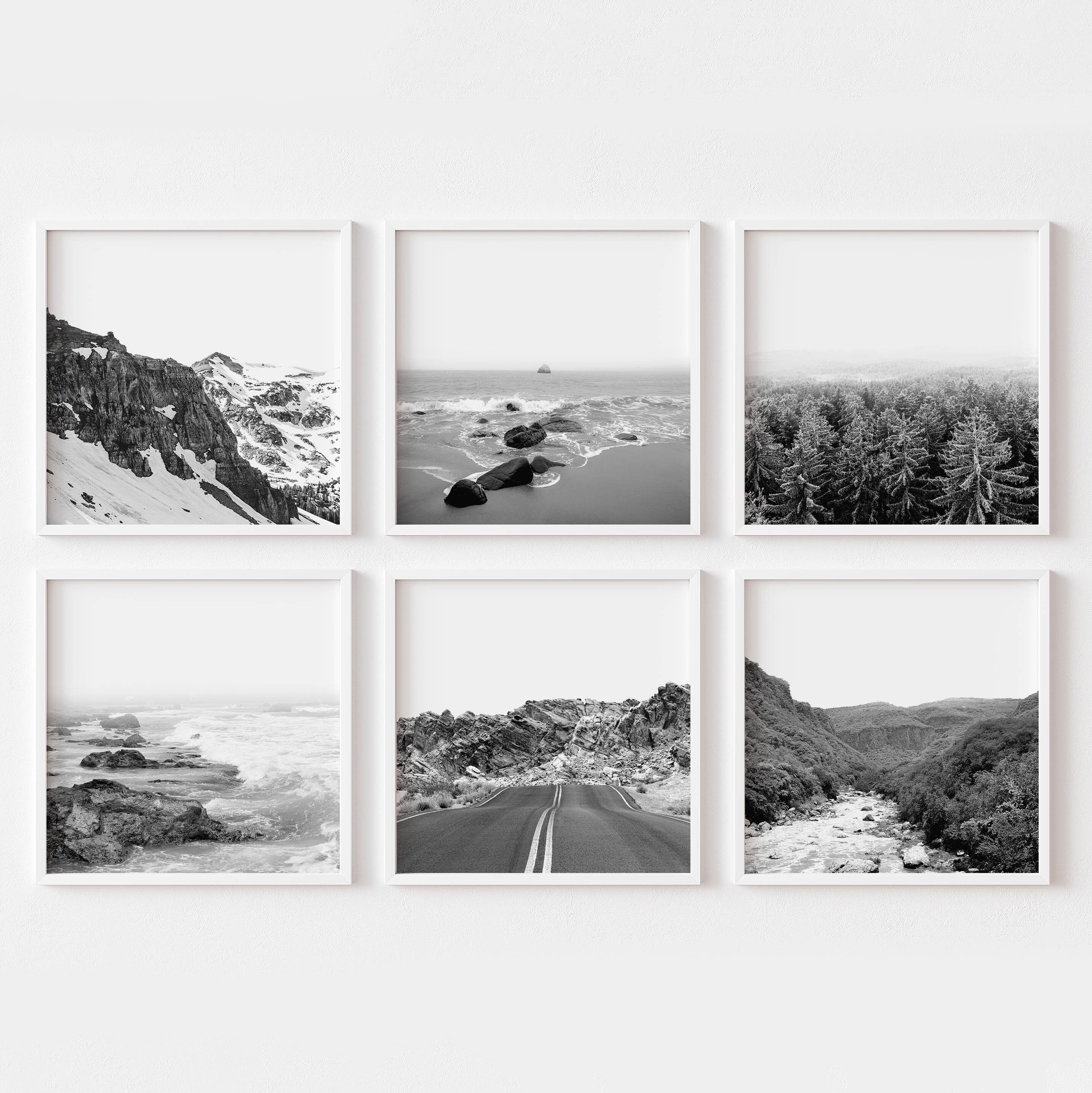 Set of 6 Square Prints Nature Prints Digital Prints Black and White ...