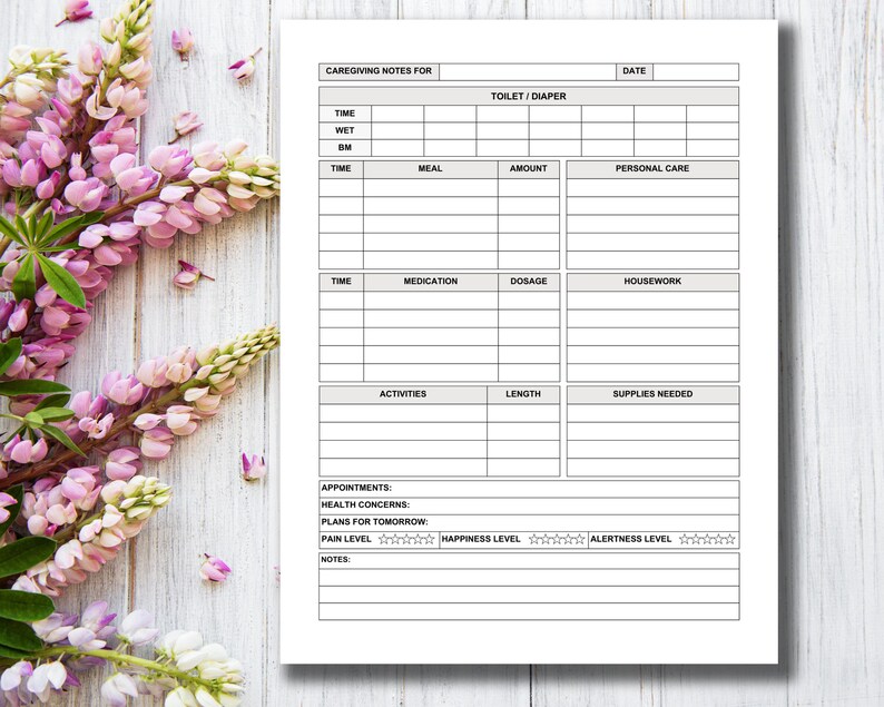 Caregiver Daily Logbook Planner: Home Health Tracker (digital Download ...