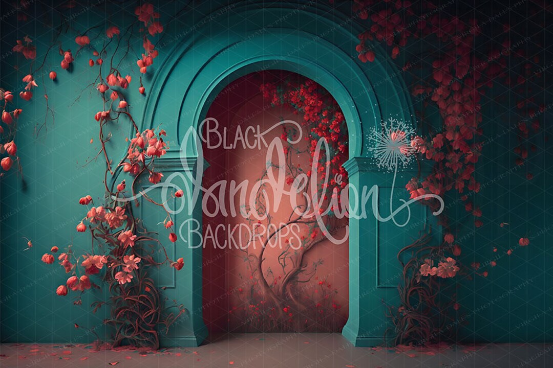 Arc, Digital Backdrop for Photoshop, Overlay, AI Digital File - Etsy